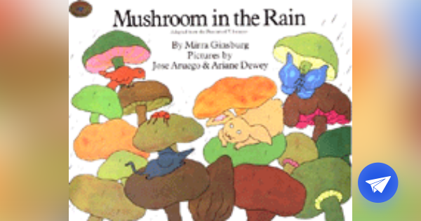 Mushroom in the rain - 플라이북