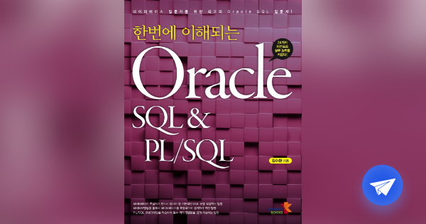 한번에 이해되는 Oracle Sql And Plsql 데이터베이스 입문자를 위한 최고의 Oracle Sql 입문서 플라이북