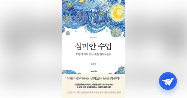 심미안 수업 =어떻게 가치 있는 것을 알아보는가 /Esthetic sense - 플라이북